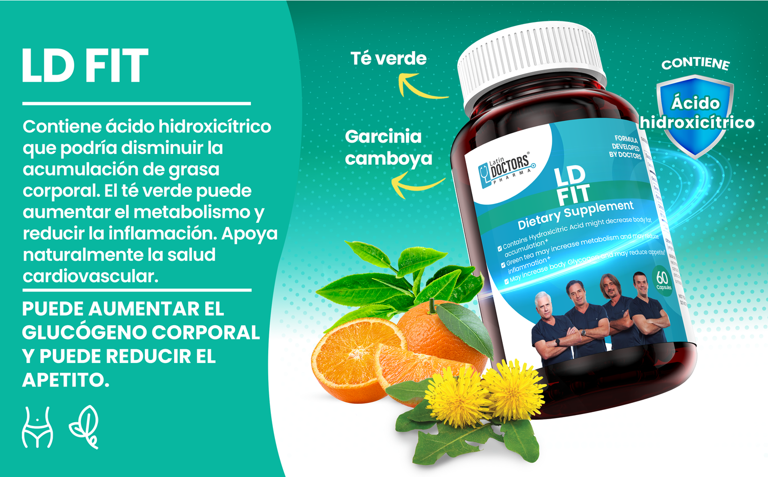 LD FIT – Latin Doctors